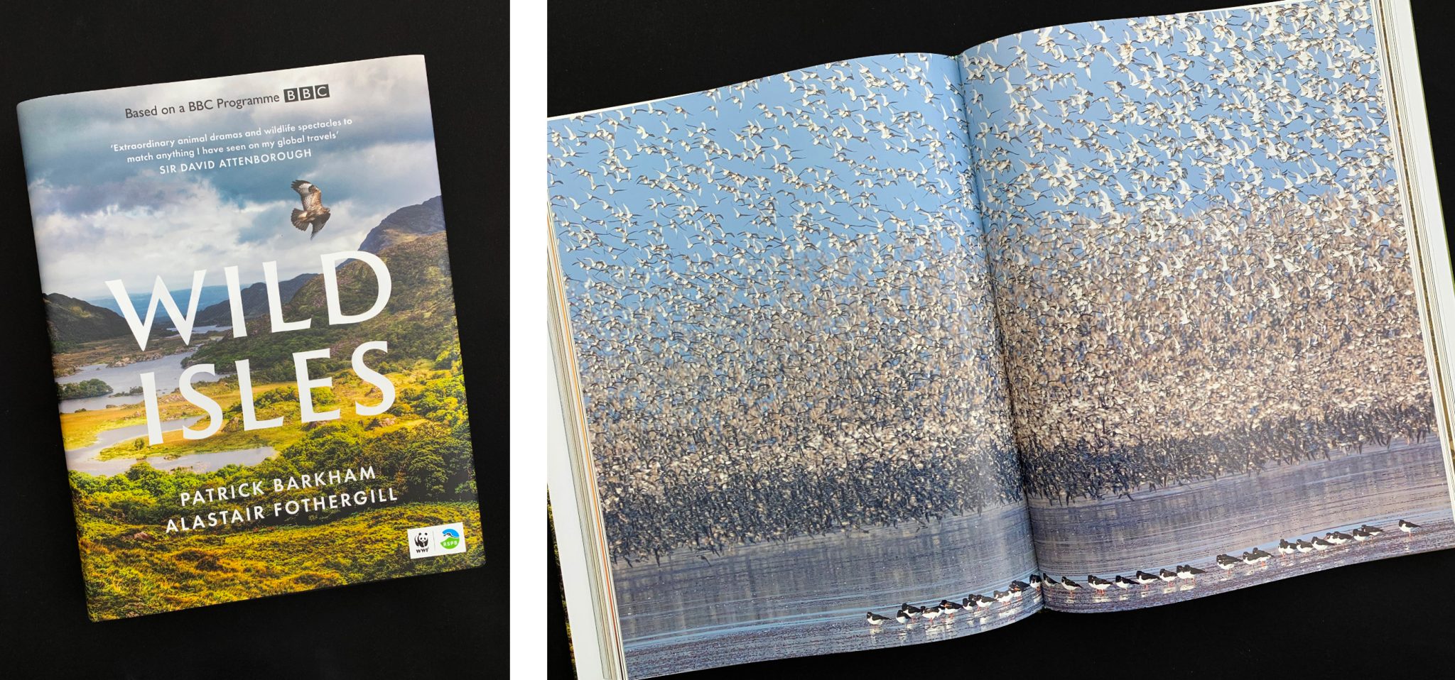 BBC Wild Isles - Craig Denford Photography