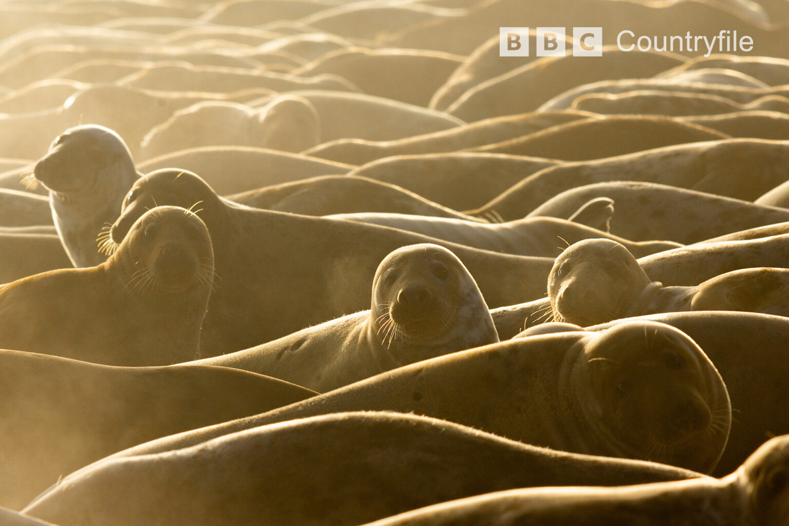 BBC Countryfile Calendar 2026 - Craig Denford Photography