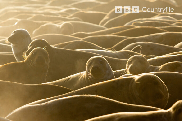 BBC Countryfile Calendar 2026 - Craig Denford Photography